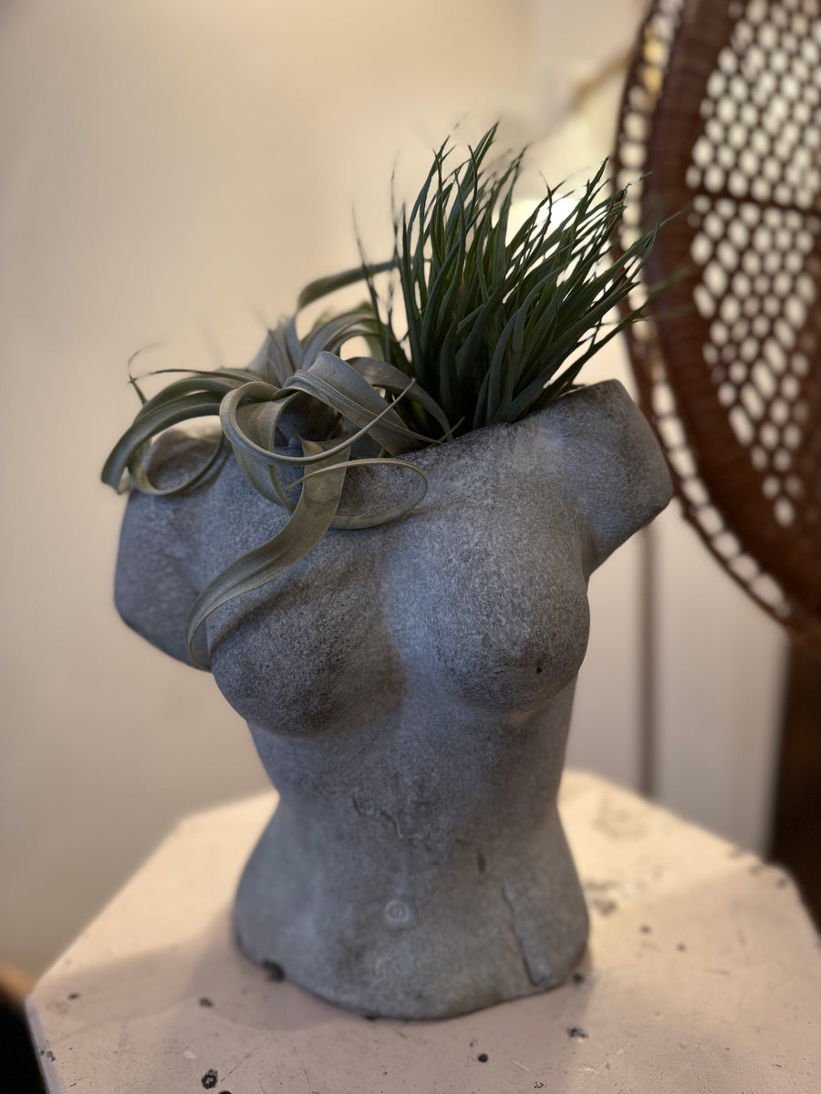 Concrete Bust