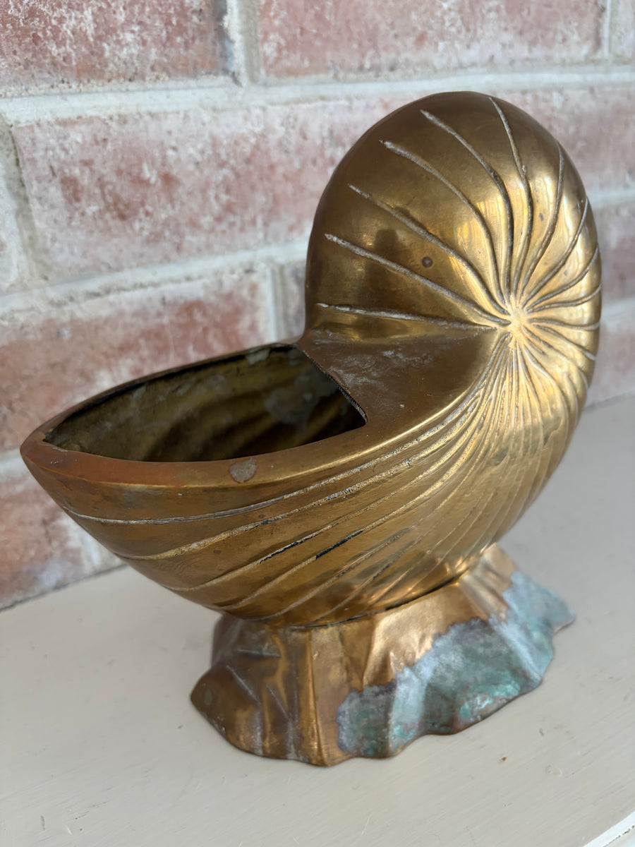 MCM Nautilus Shell Planter